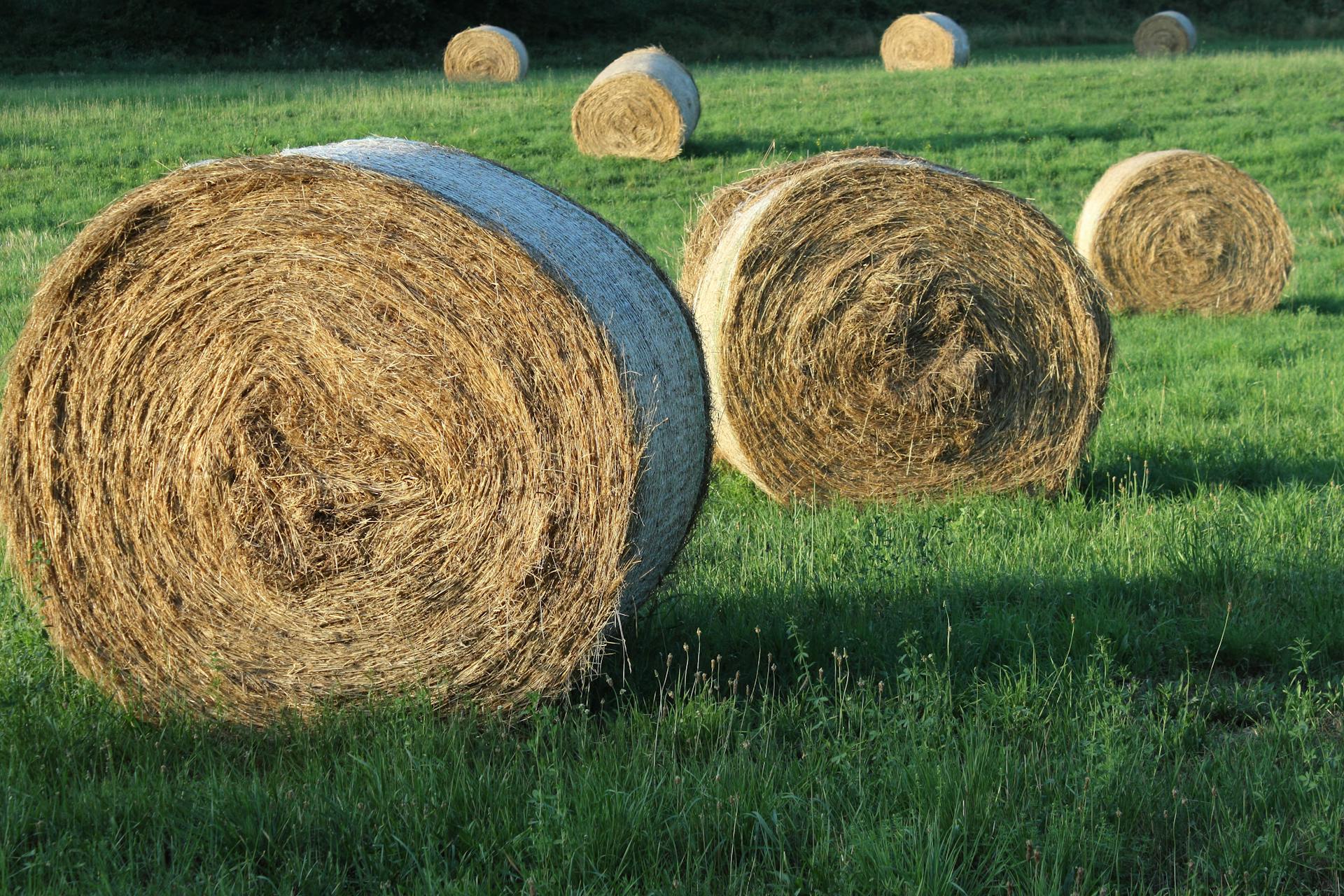 How to Spot Baler Belt Wear and Tear Early