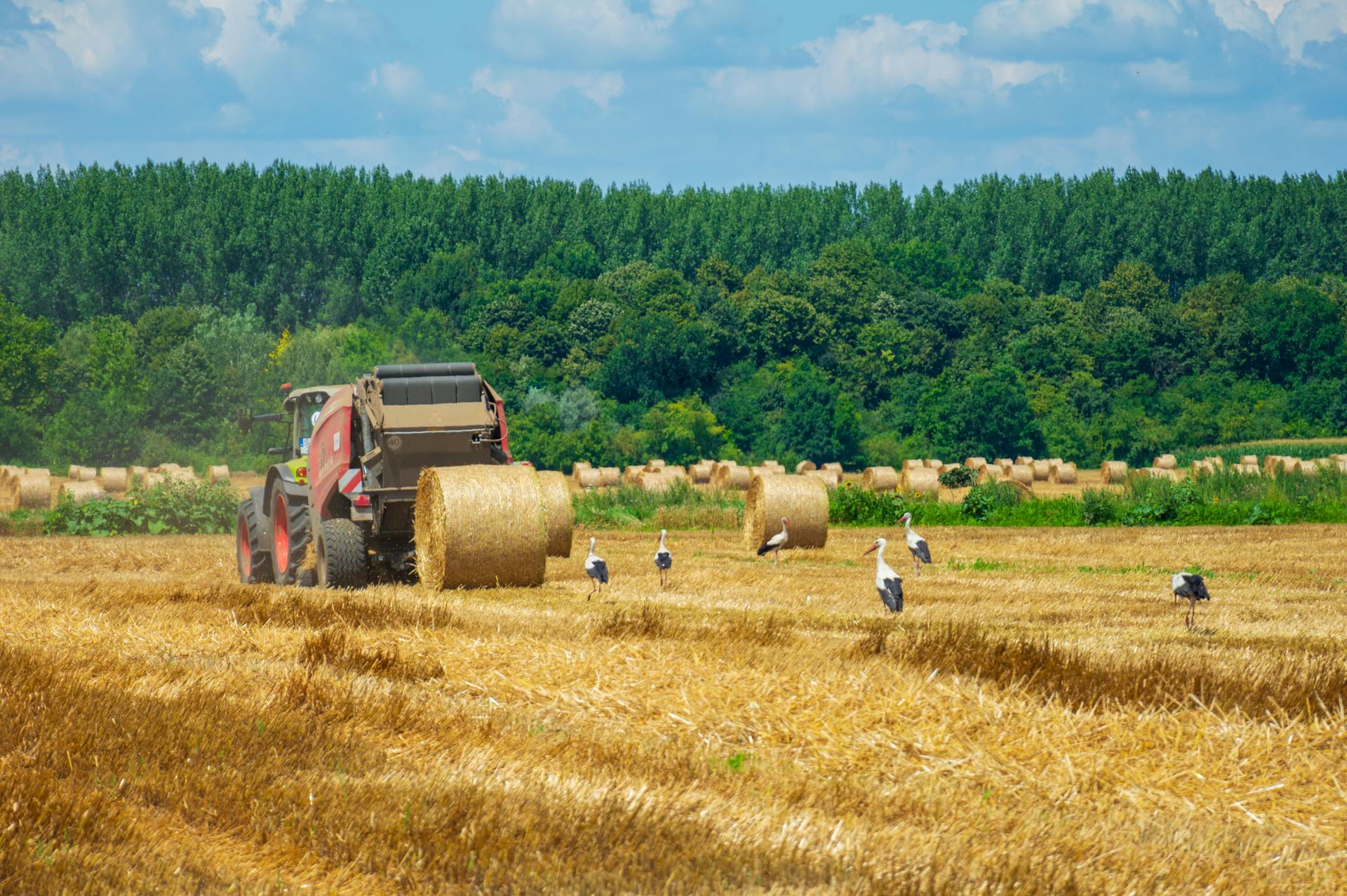 Storing Baler Belts: Best Practices Guide