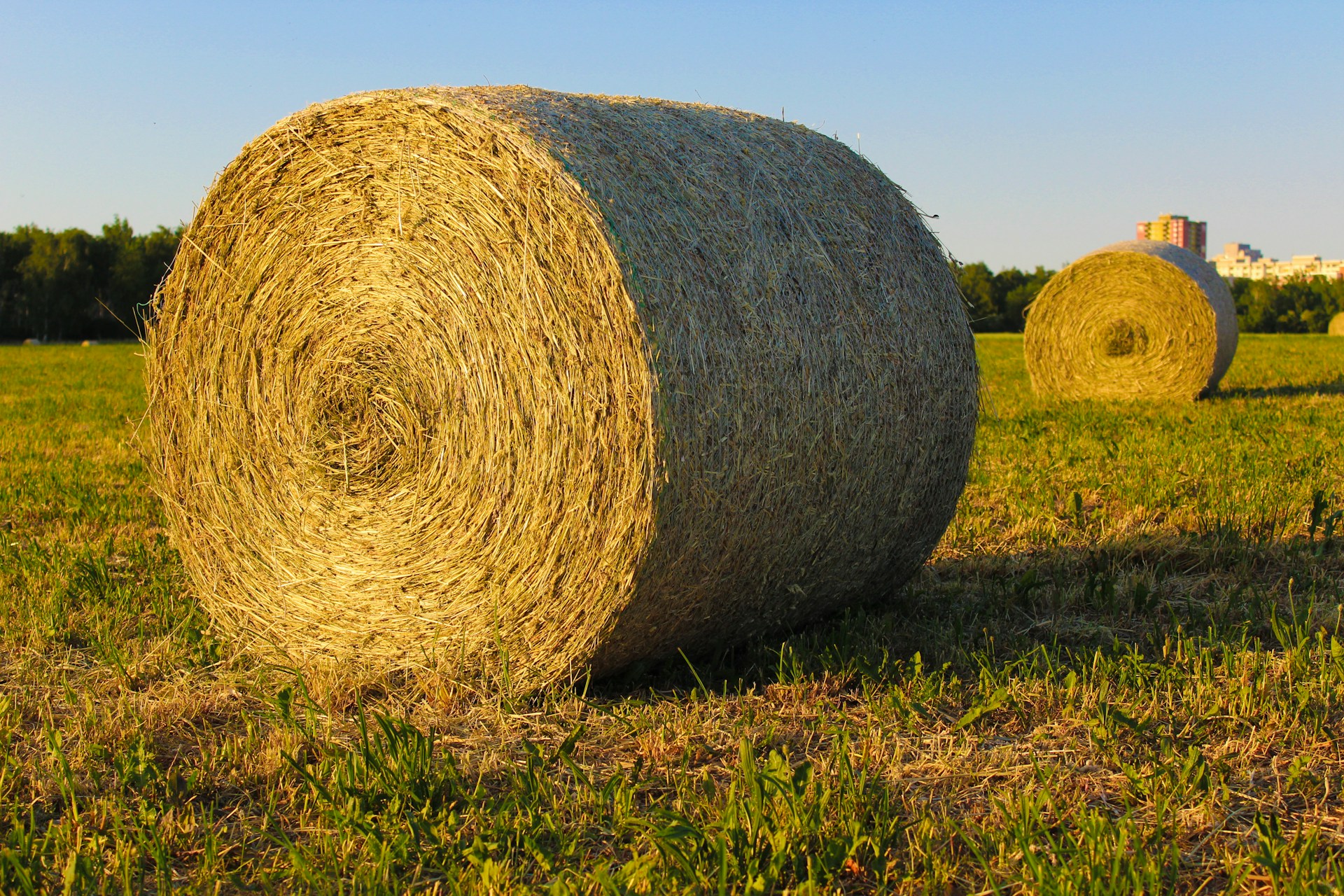 How to Use a Baler Lacing Tool for Smooth Fixes